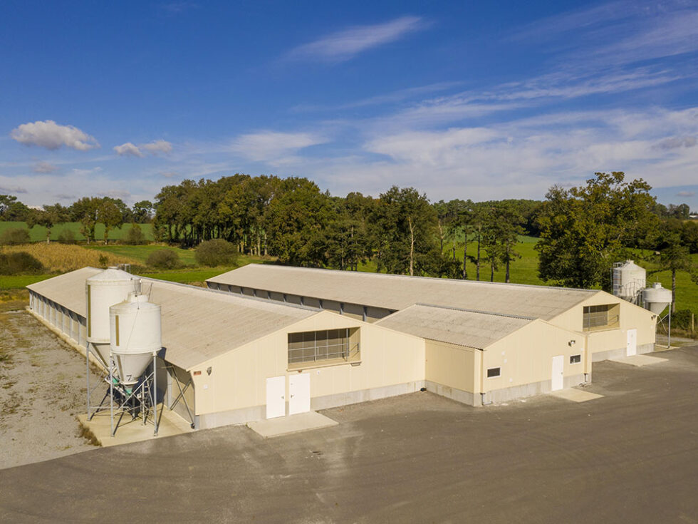 La livraison des poules reproductrices par Novogen